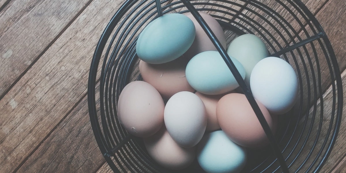 The Incredible Drinkable Egg: Cocktails Featuring Eggs | Distiller