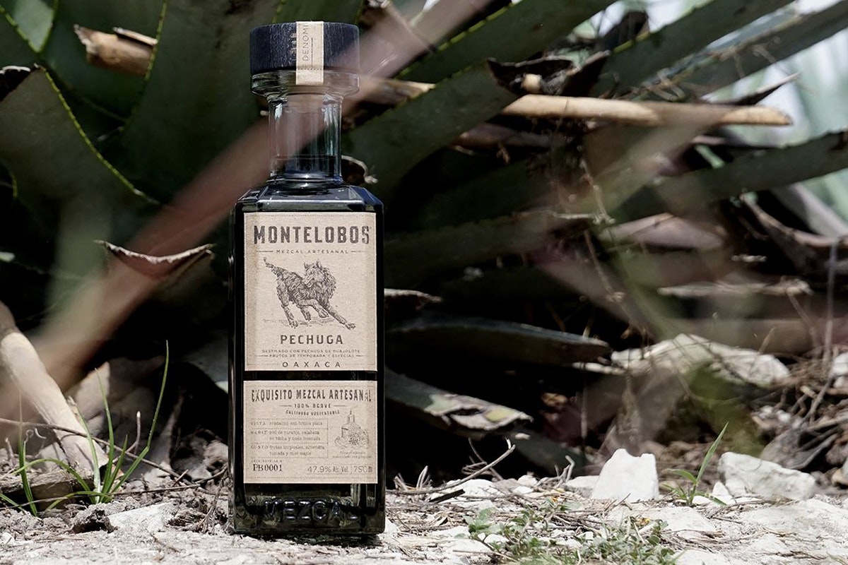 Must-Try Pechuga Mezcal Brands | Distiller