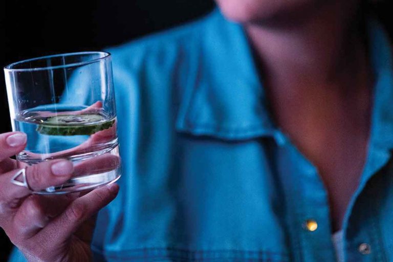 Distiller's Gin Guide: Styles to Know and Brands to Try | Distiller