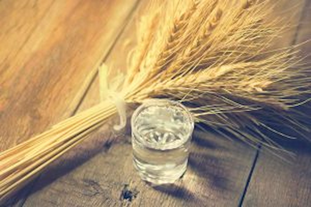 Vodka Basics: Where, What and How Vodka is Made | Distiller